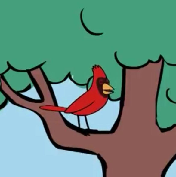 Birds | Peep and the Big Wide World Wiki | Fandom