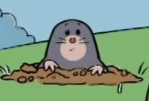 Mole | Peep and the Big Wide World Wiki | Fandom