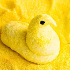 Peep Gallery | Peep Wiki | Fandom