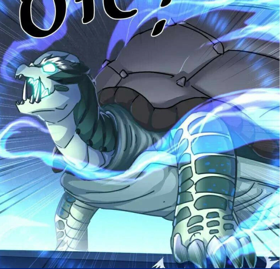 Ocean Protector Black Tortoise | Peerless Battle Spirit Wiki | Fandom