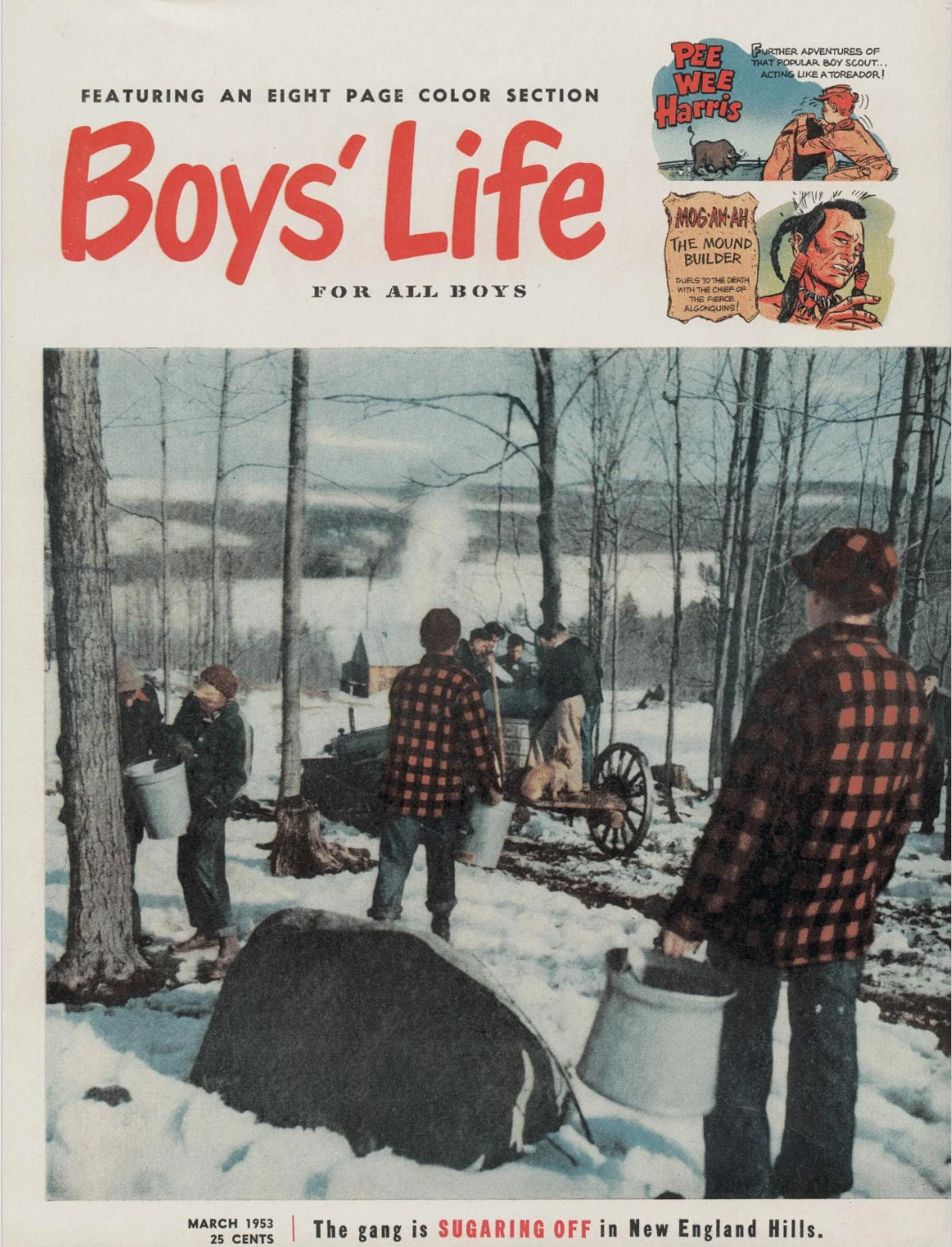 Boys' Life | Pee-Wee Harris Wikia | Fandom