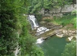 Swimming Hole | Pegasus Roleplay Wiki | Fandom