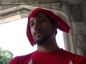 Ray Storm | The Plumber, the Elf, & the Hedgehog Wiki | Fandom