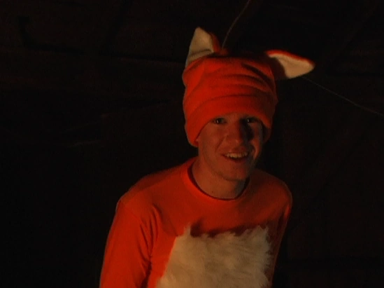 Pedestrian Hero | The Plumber, the Elf, & the Hedgehog Wiki | Fandom