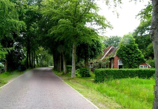 Voorbeeld | Peize | Fandom