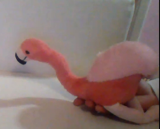 Flamingos | Wiki Pelucheslocos | Fandom