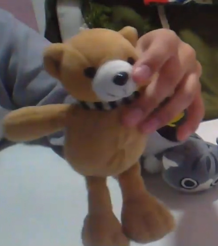 Ositos | Wiki Pelucheslocos | Fandom