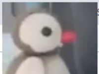 Pinga | Pencilmation Wiki | Fandom