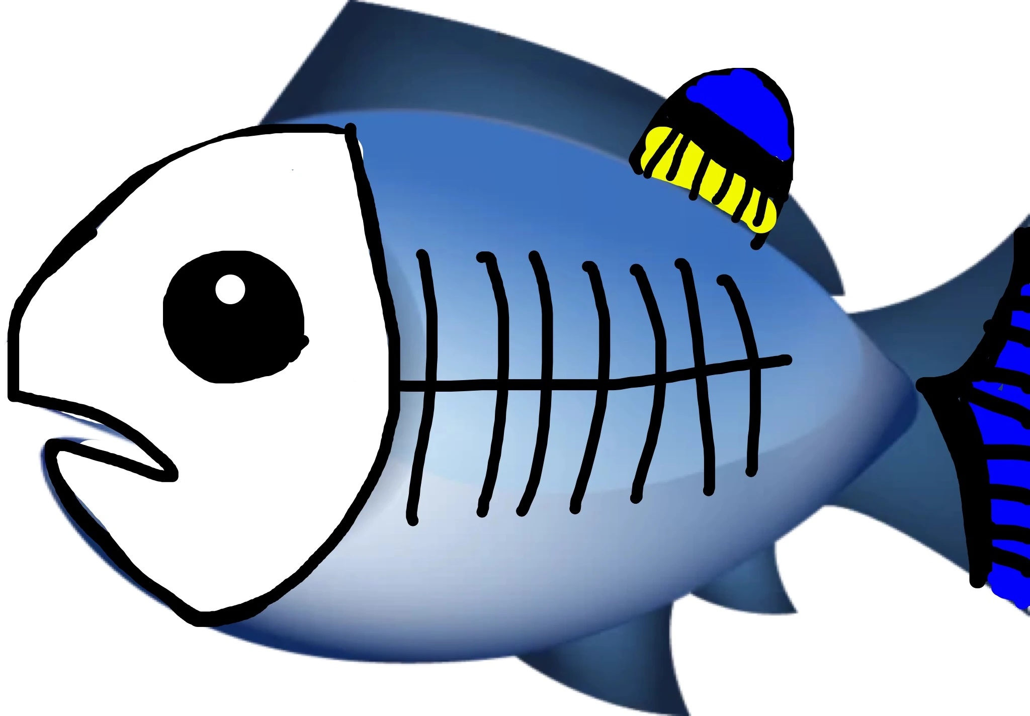 Cartoon X Ray Fish