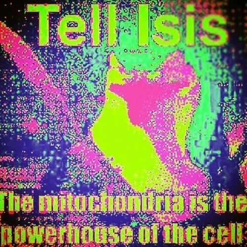 Ghost chase | Penelopedia Wiki | Fandom