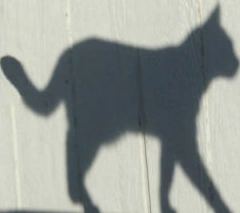 Shayd | Peng's RPG World Wiki | Fandom