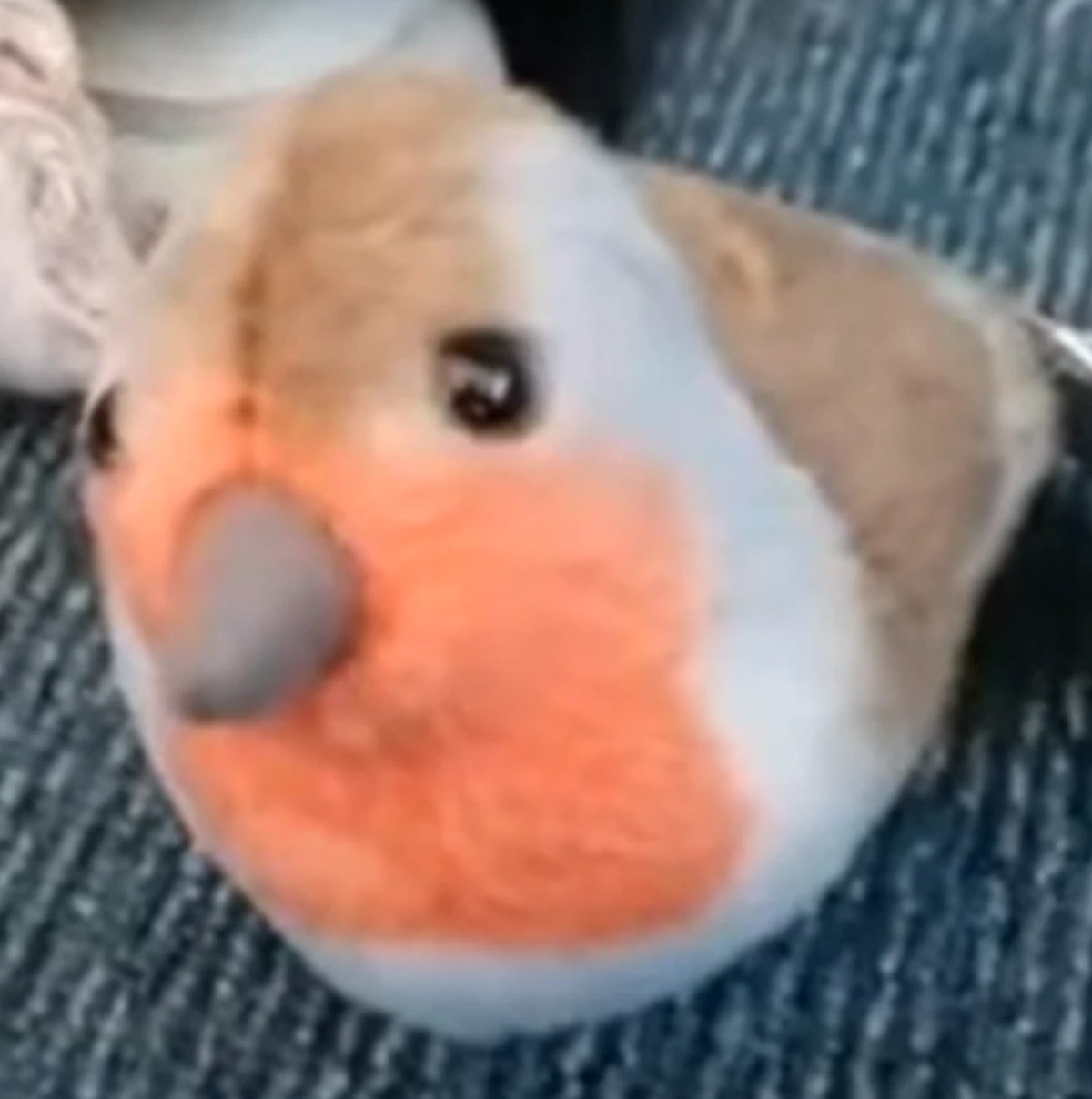 Laurie Ackerman | Penguin and Beeky Show Wiki | Fandom