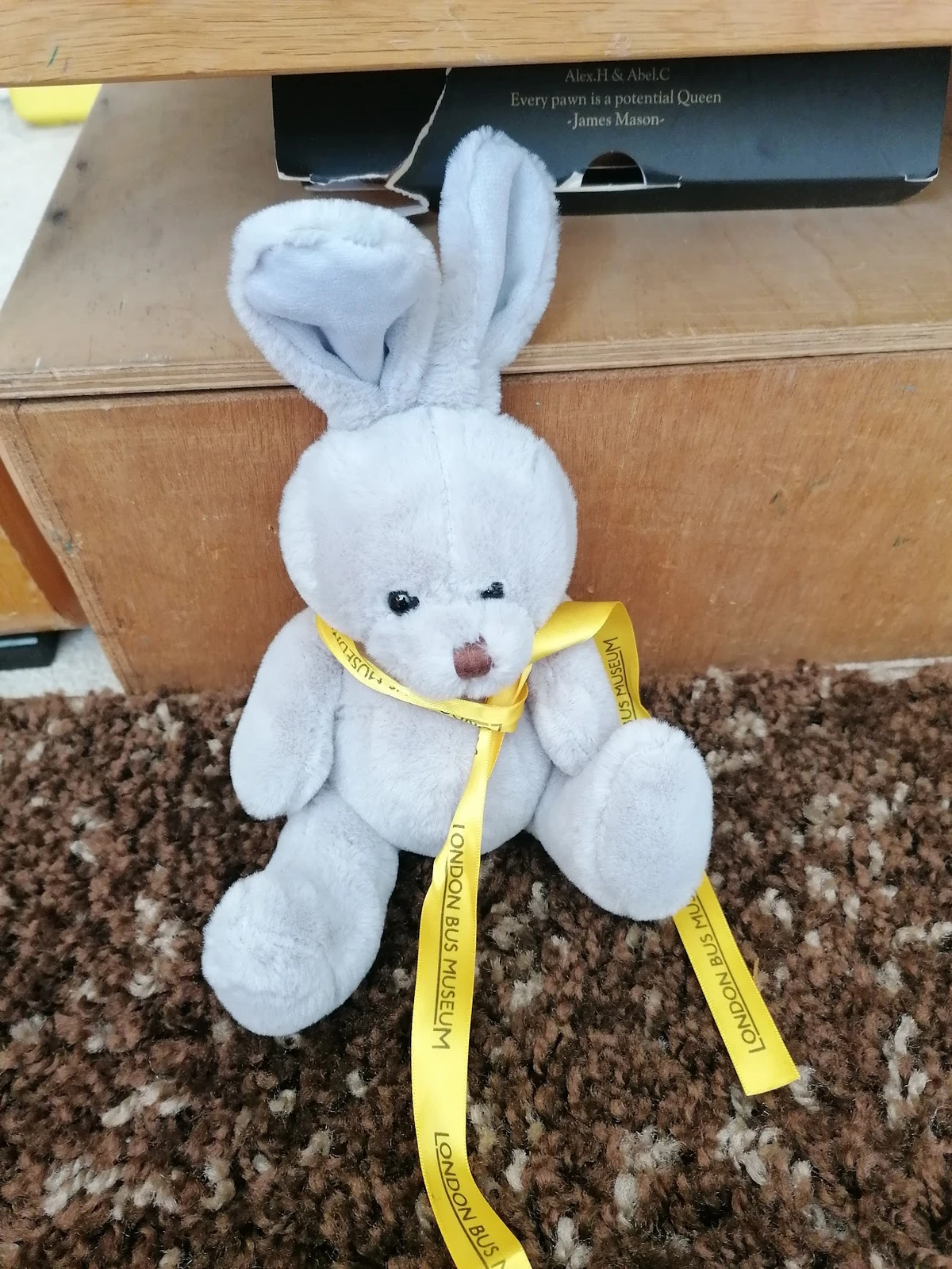 Annabelle Joel Wilson | Penguin and Beeky Show Wiki | Fandom