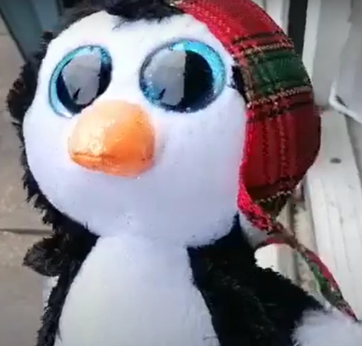 Mini Santa | Penguin and Beeky Show Wiki | Fandom