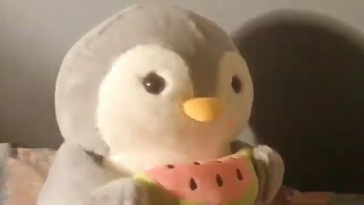 Watermelon Trefes | Penguin and Beeky Show Wiki | Fandom