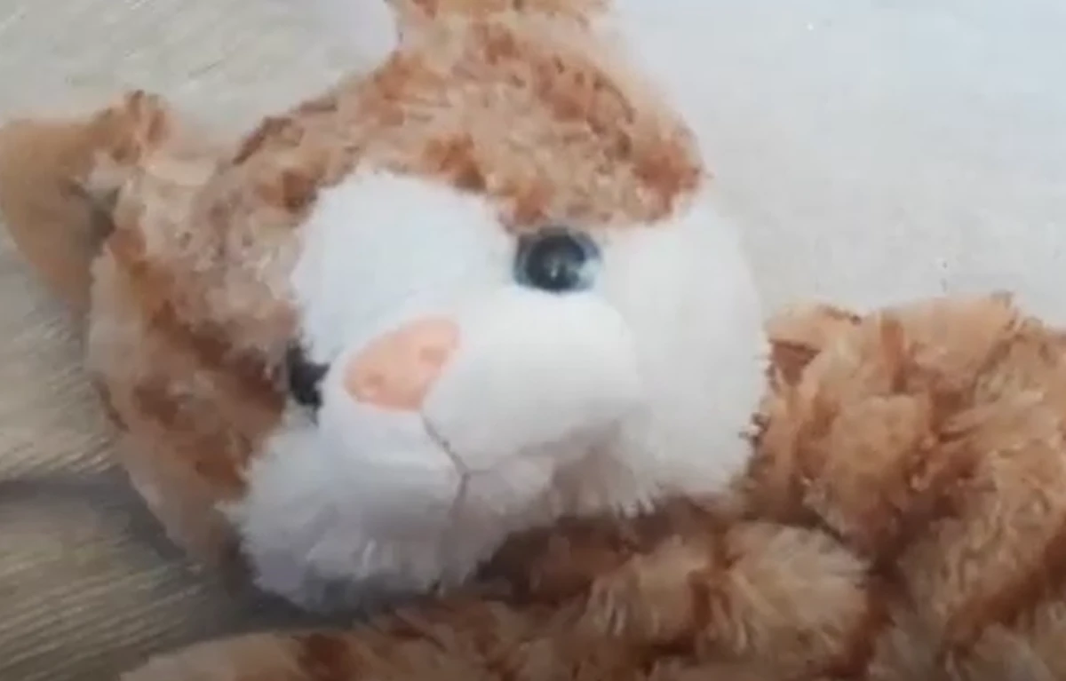 Porsha Scott | Penguin and Beeky Show Wiki | Fandom