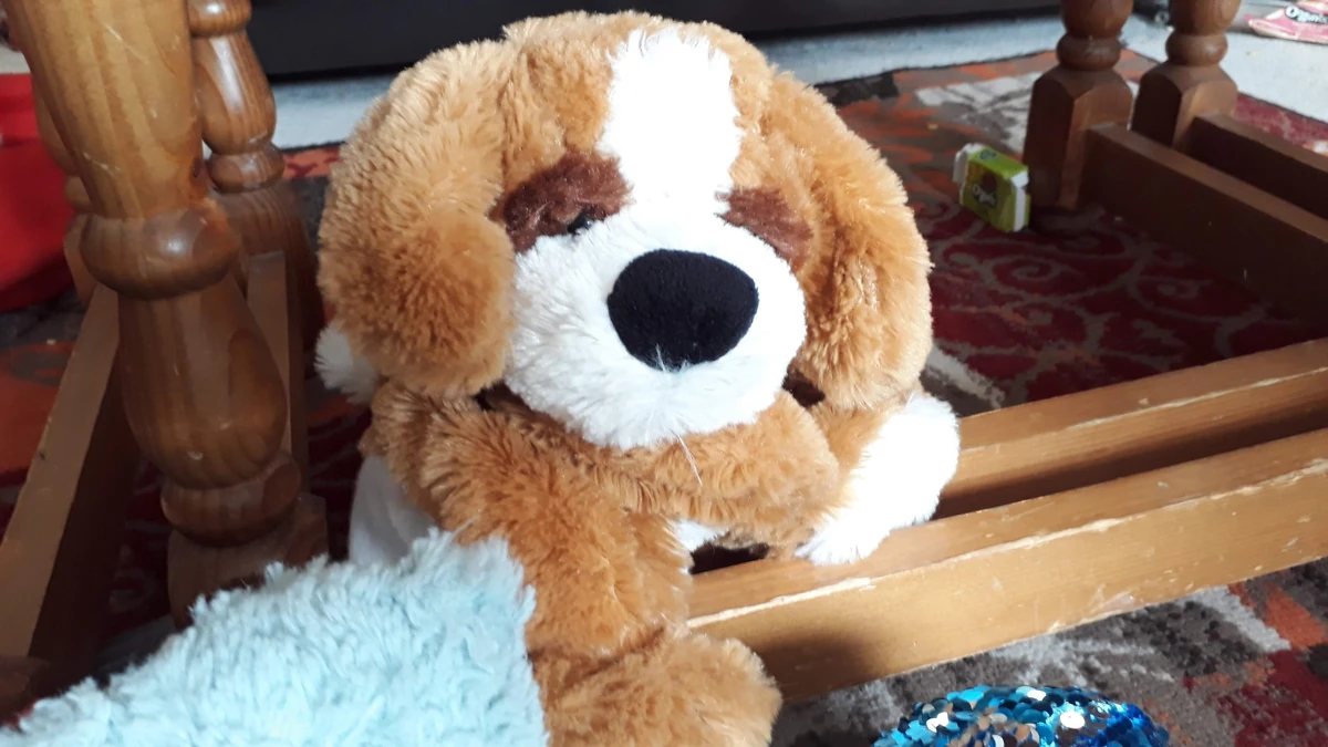 Albert Foster | Penguin and Beeky Show Wiki | Fandom