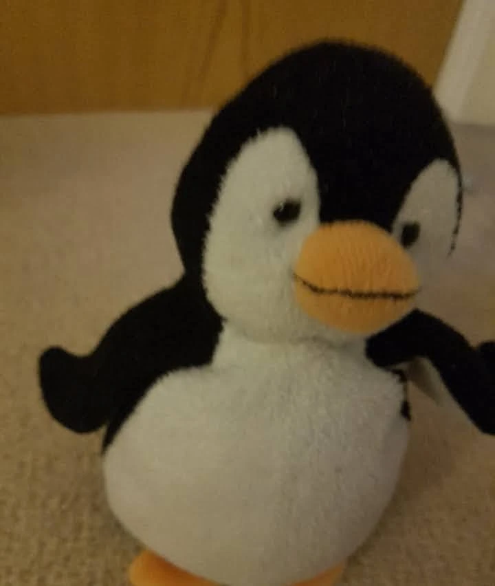 Flash | Penguin and Beeky Show Wiki | Fandom