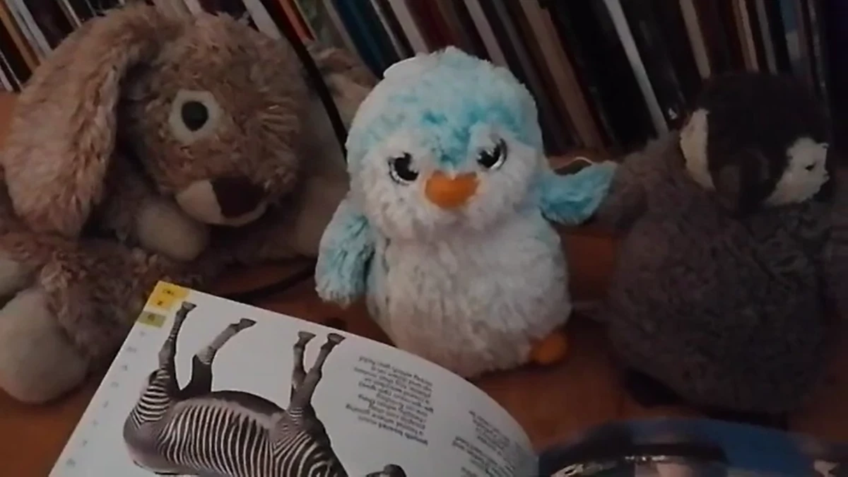 Isabella Trefes | Penguin and Beeky Show Wiki | Fandom