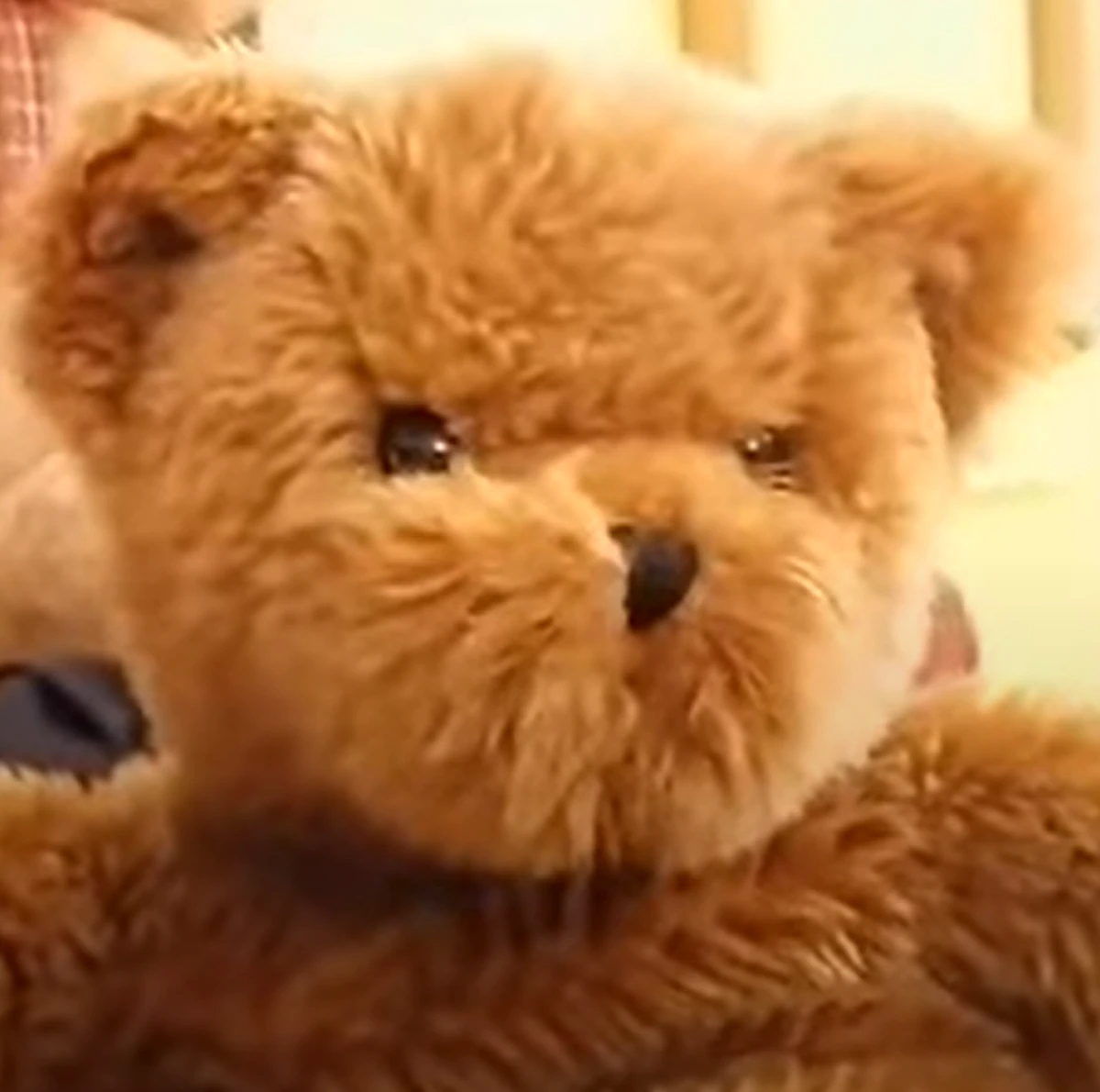 Ted Jr. | Penguin and Beeky Show Wiki | Fandom