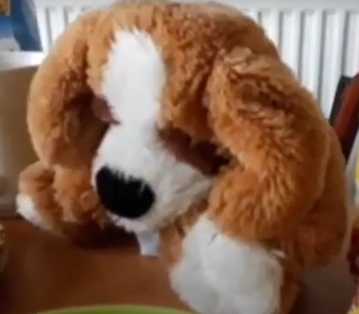 Richard Donovan | Penguin and Beeky Show Wiki | Fandom