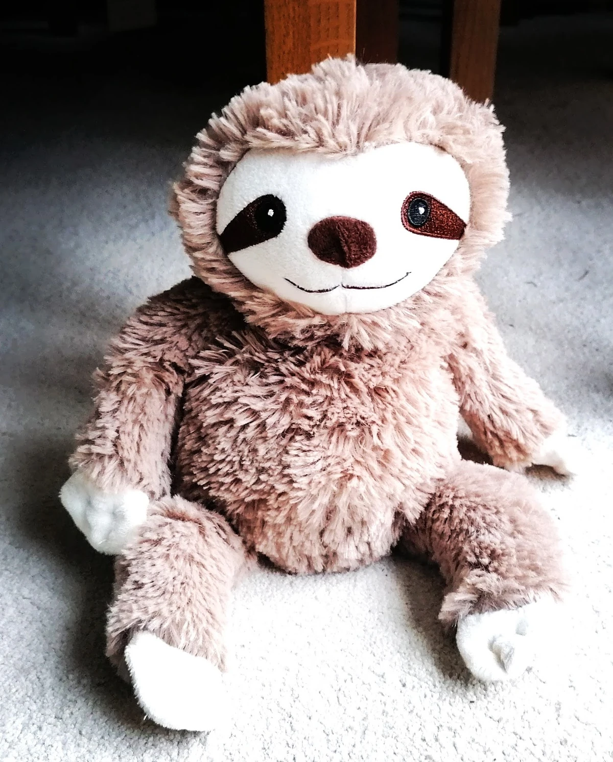 Seth Sloth | Penguin and Beeky Show Wiki | Fandom