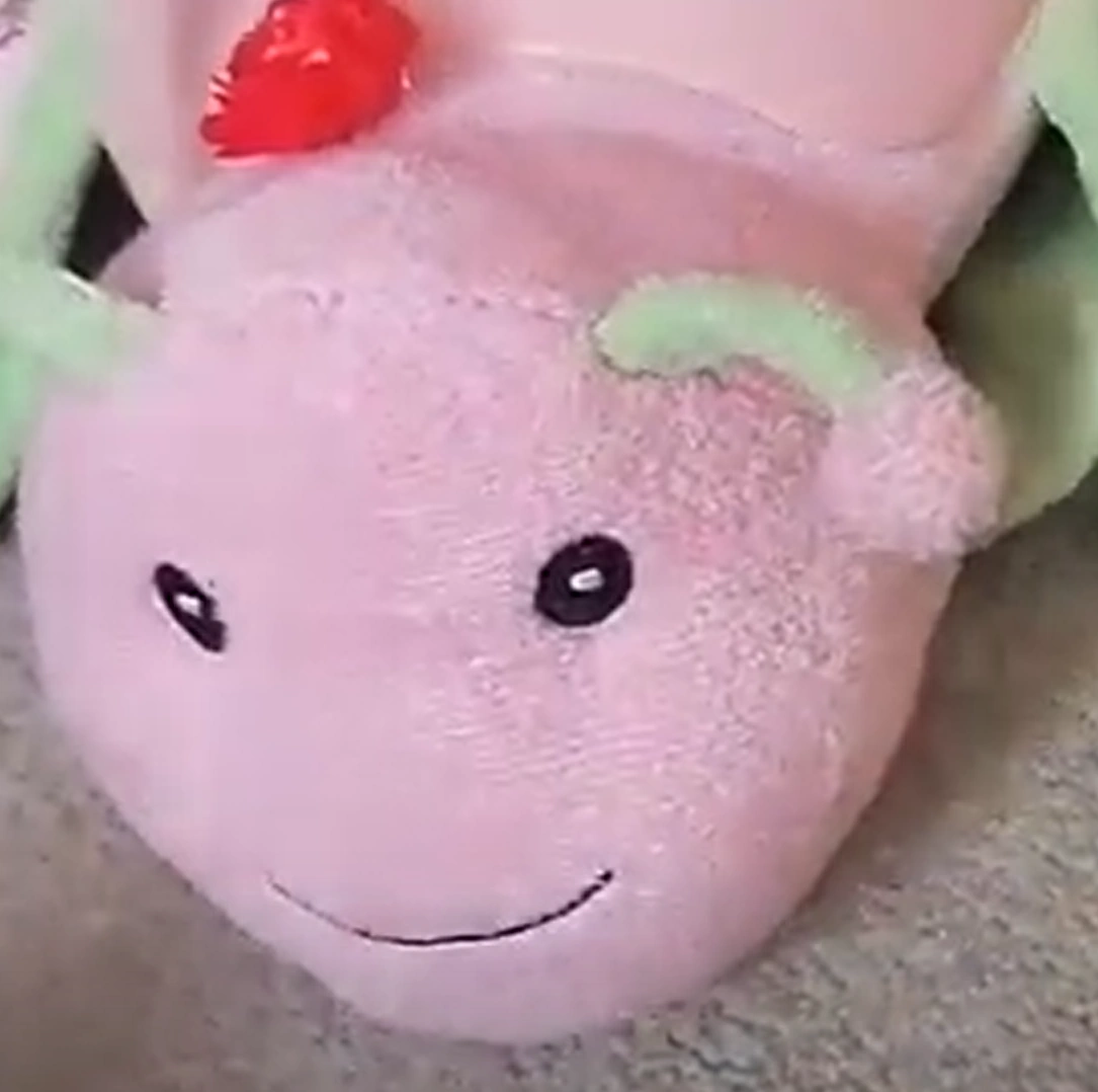 Valerie Turner | Penguin and Beeky Show Wiki | Fandom