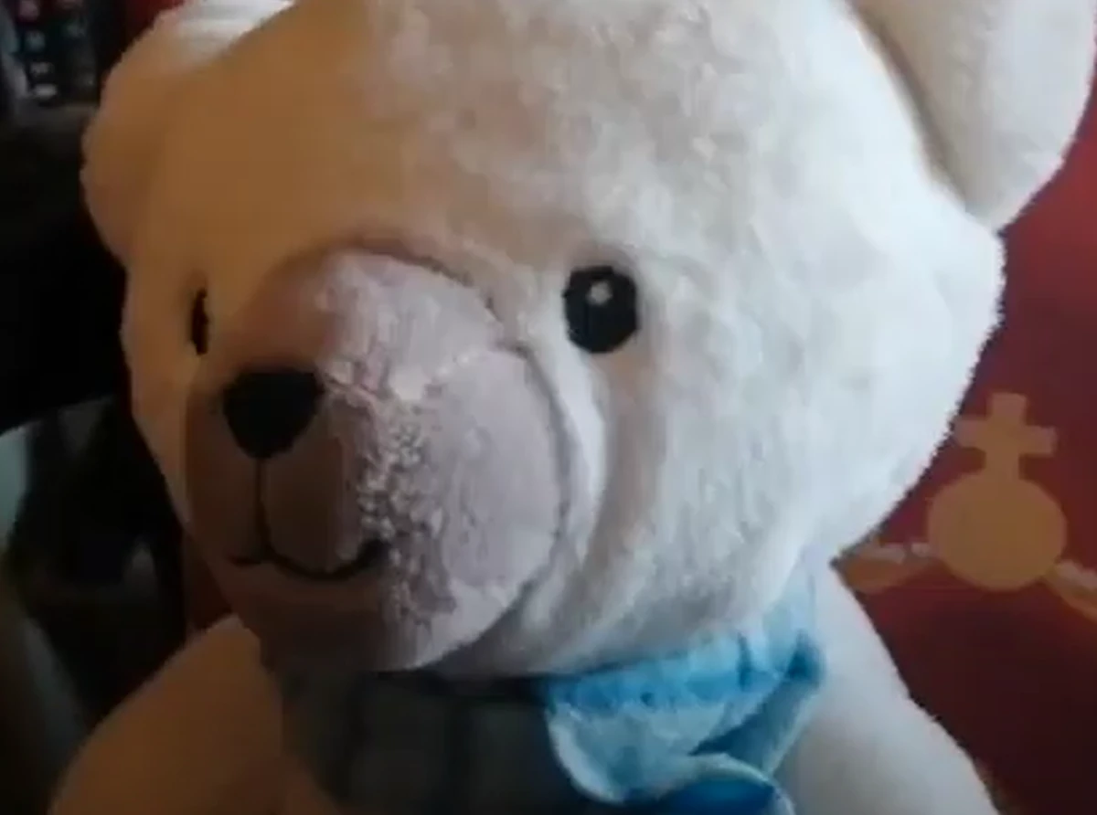 Bruce Waugh | Penguin and Beeky Show Wiki | Fandom