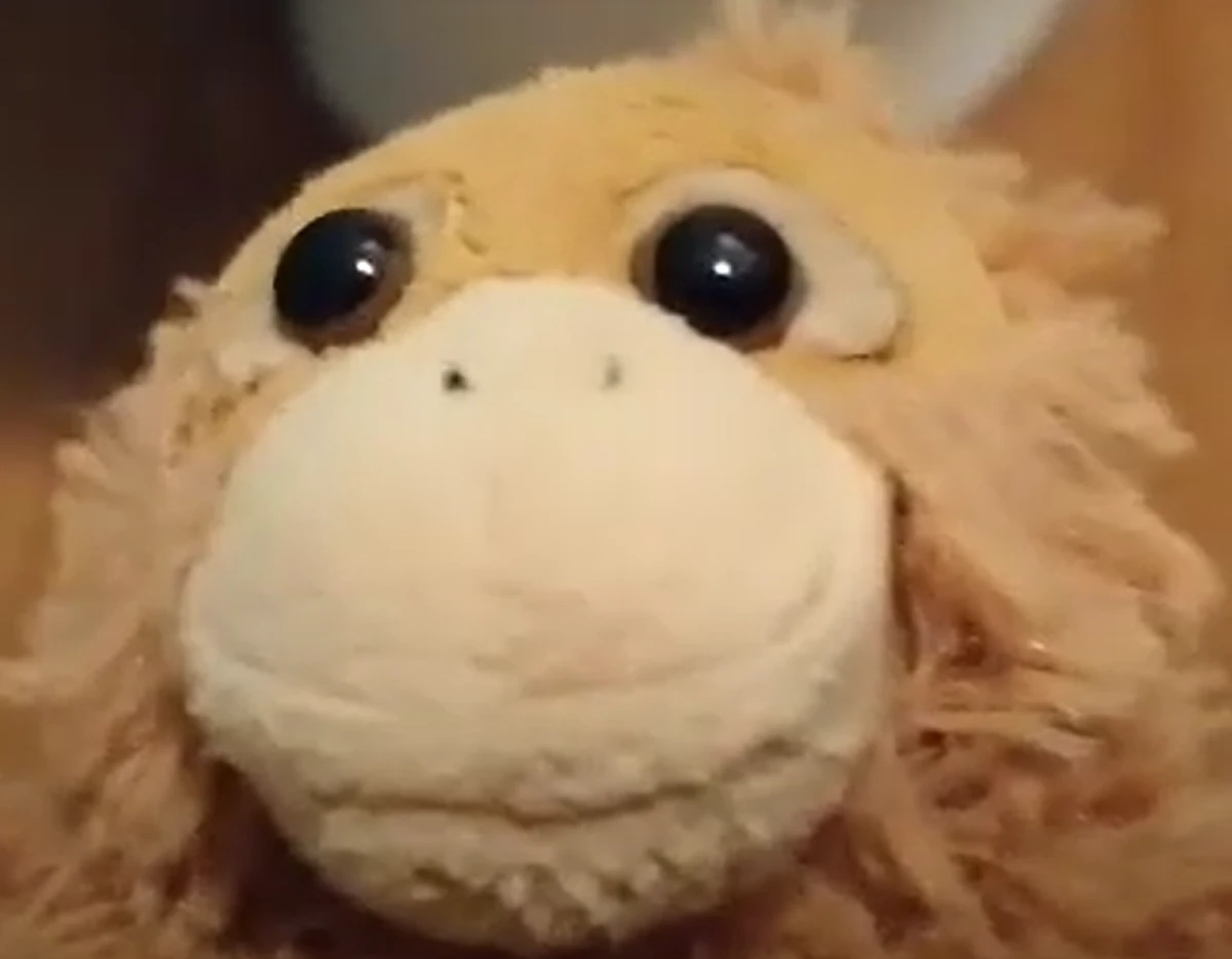 Charles | Penguin and Beeky Show Wiki | Fandom