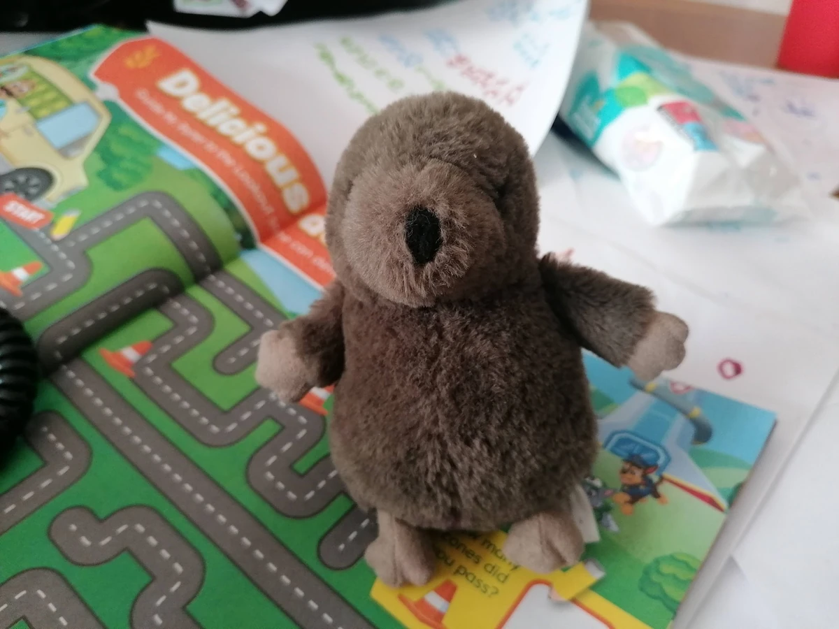 Mr. Moley | Penguin and Beeky Show Wiki | Fandom