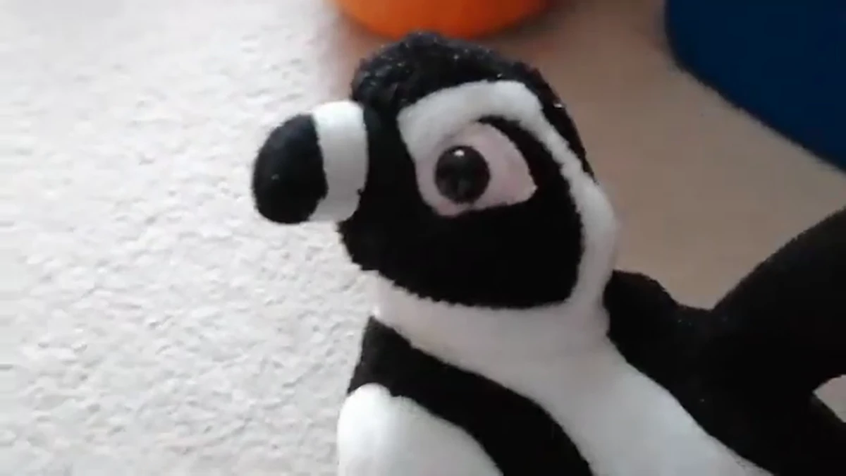 Sid | Penguin and Beeky Show Wiki | Fandom