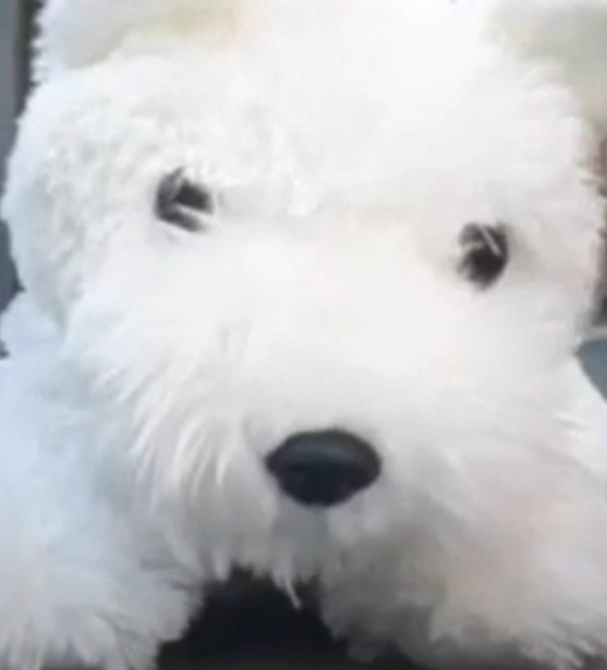 Mayor Baldwin | Penguin and Beeky Show Wiki | Fandom