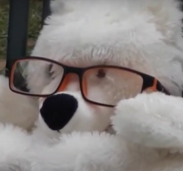 Gerald McQuoid | Penguin and Beeky Show Wiki | Fandom