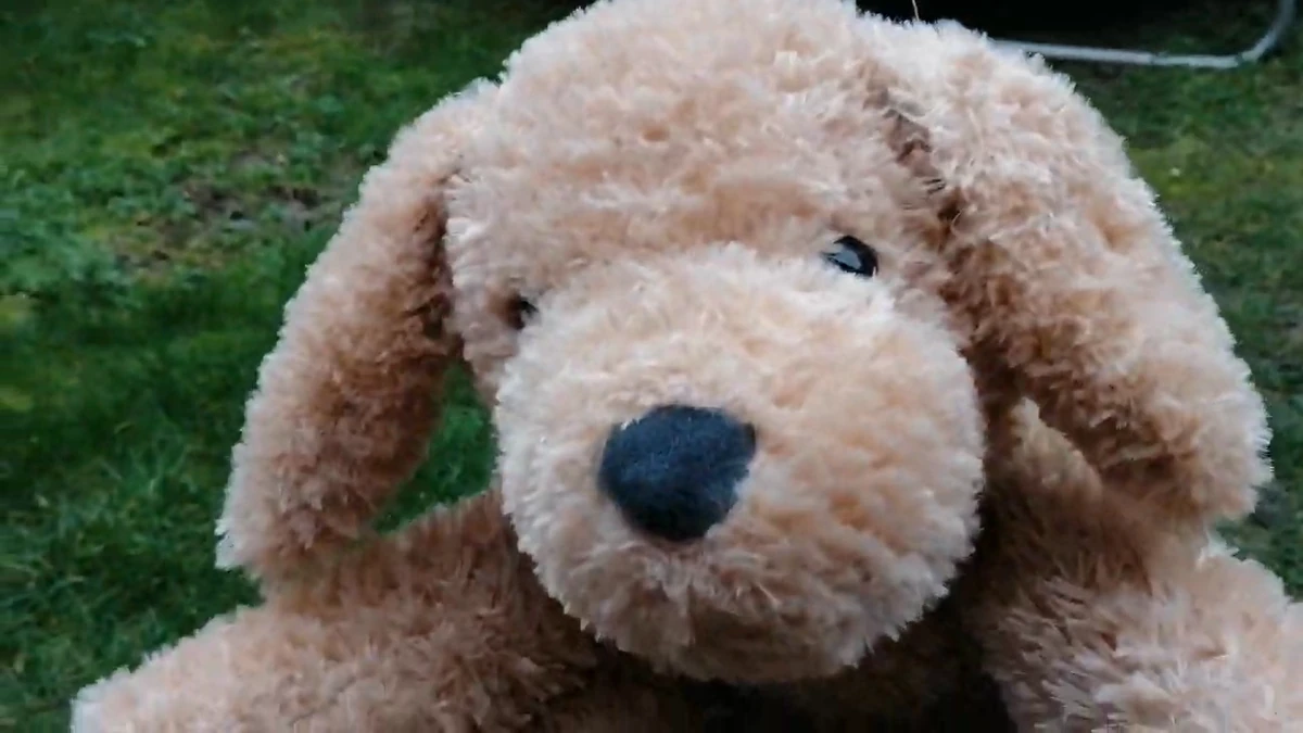 Mr. Rocco | Penguin and Beeky Show Wiki | Fandom