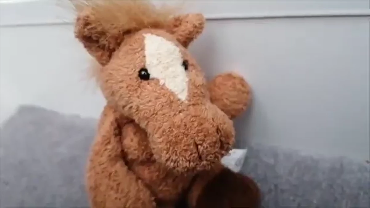 Giovanni Giorgi | Penguin and Beeky Show Wiki | Fandom