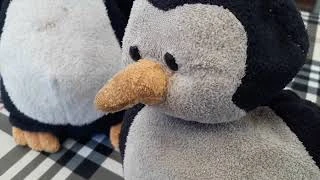 The Return of Beeky Shara | Penguin and Beeky Show Wiki | Fandom