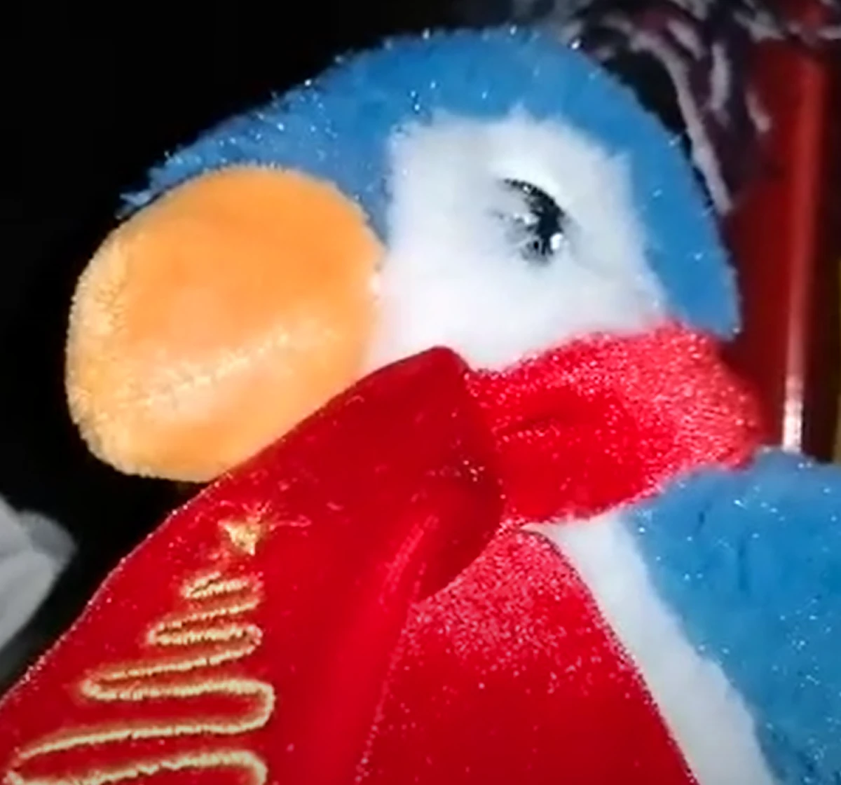 Joan Parker | Penguin and Beeky Show Wiki | Fandom