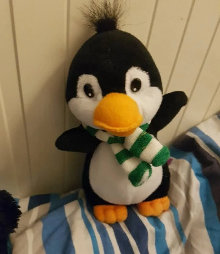 Paws Knight | Penguin and Beeky Show Wiki | Fandom