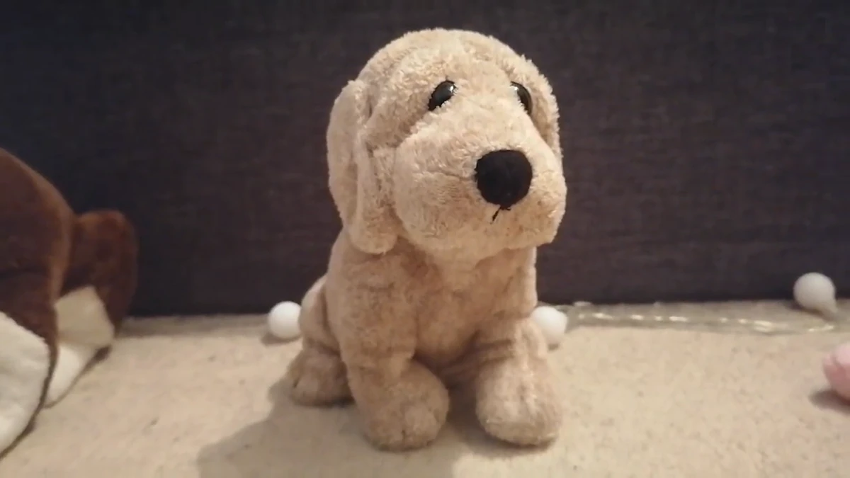 Roy | Penguin and Beeky Show Wiki | Fandom