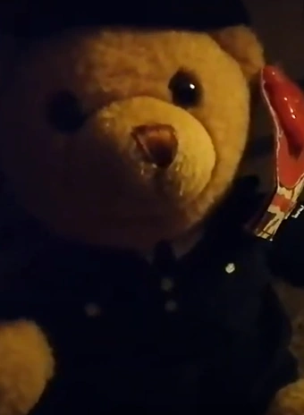 Fred | Penguin and Beeky Show Wiki | Fandom