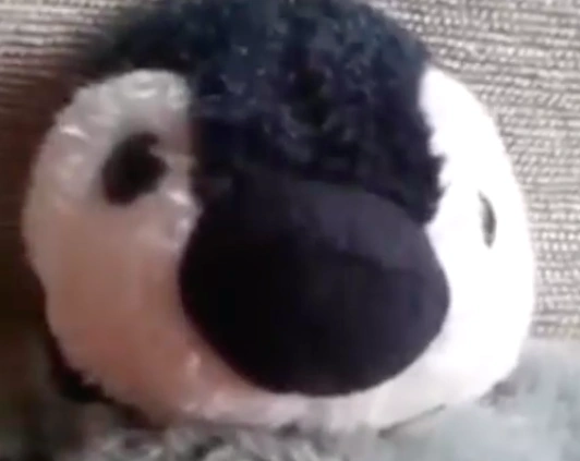 Fluff | Penguin and Beeky Show Wiki | Fandom