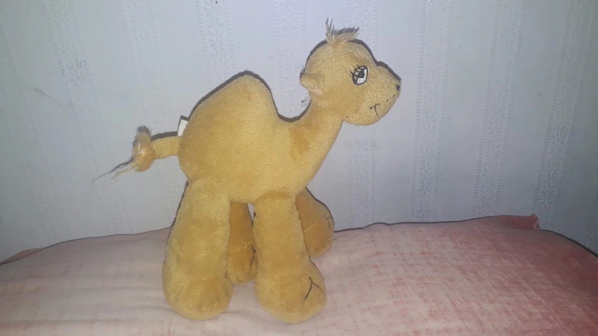 Cody Camel | Penguin and Beeky Show Wiki | Fandom