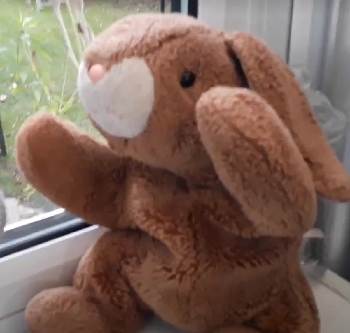 Anna Rabbit | Penguin and Beeky Show Wiki | Fandom