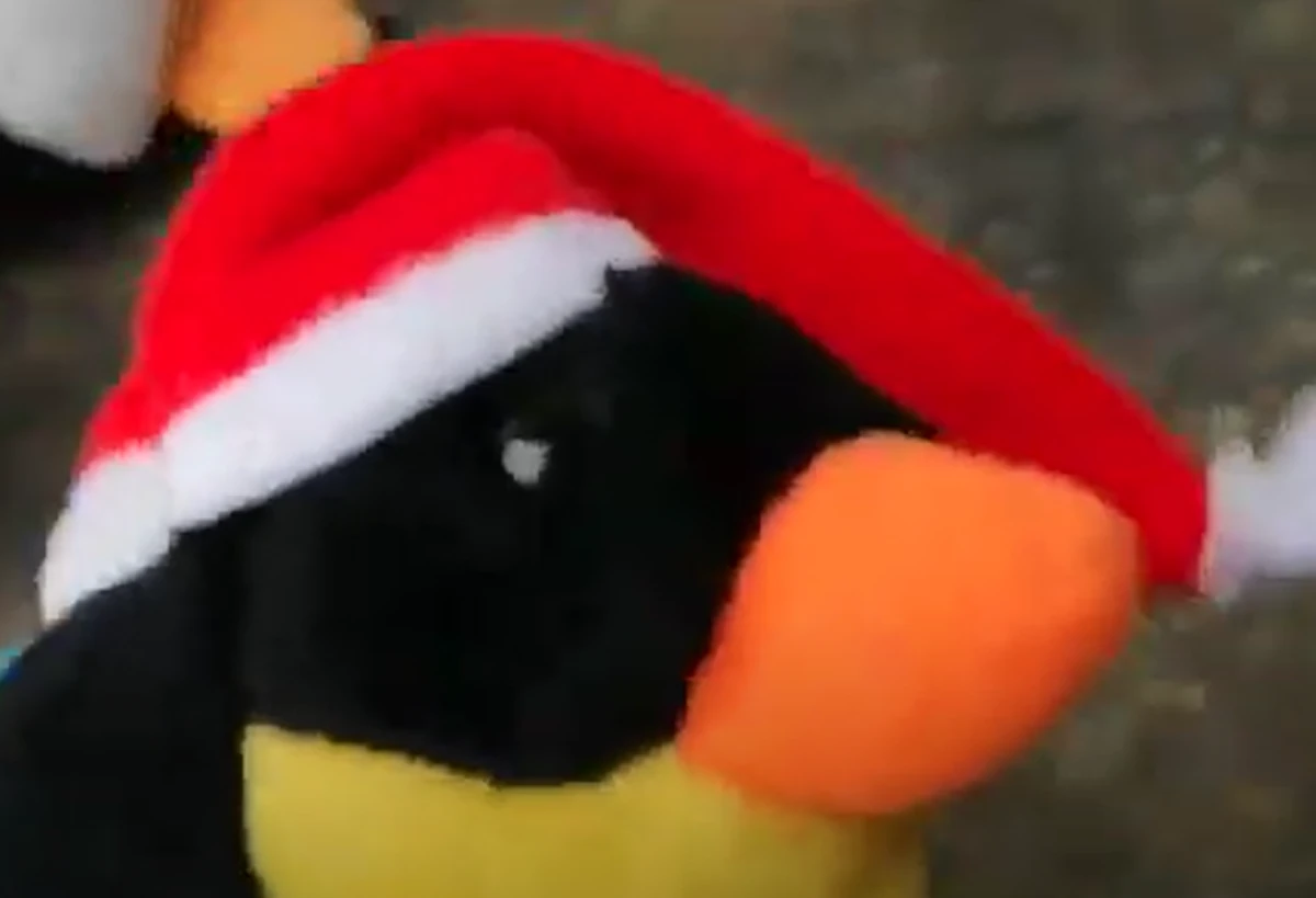 Bryan | Penguin and Beeky Show Wiki | Fandom