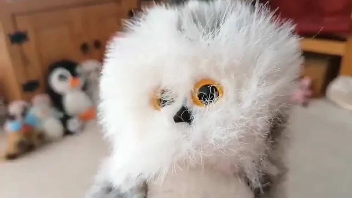 Joanna Owl | Penguin and Beeky Show Wiki | Fandom