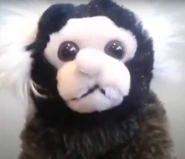 Pablo Piccard | Penguin and Beeky Show Wiki | Fandom