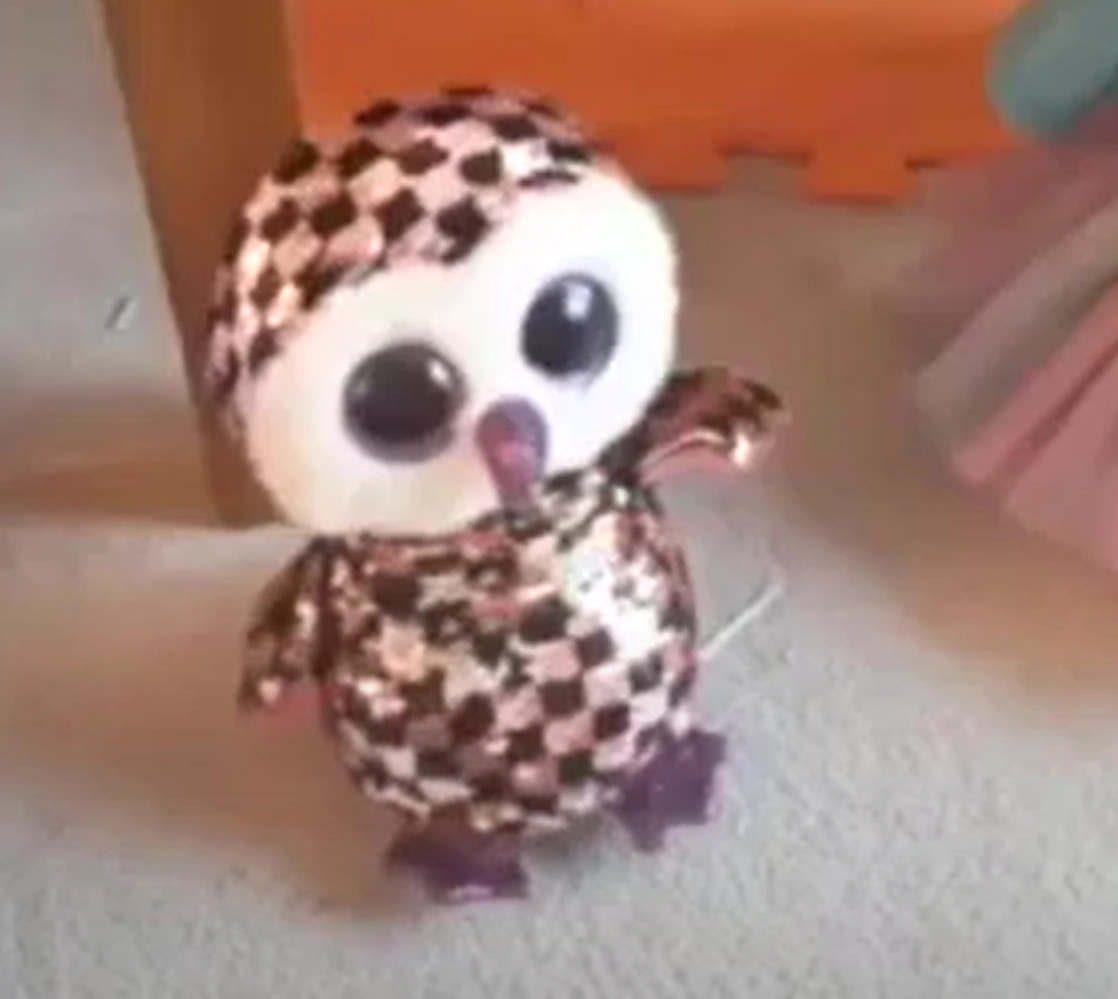 Lily Owl | Penguin and Beeky Show Wiki | Fandom