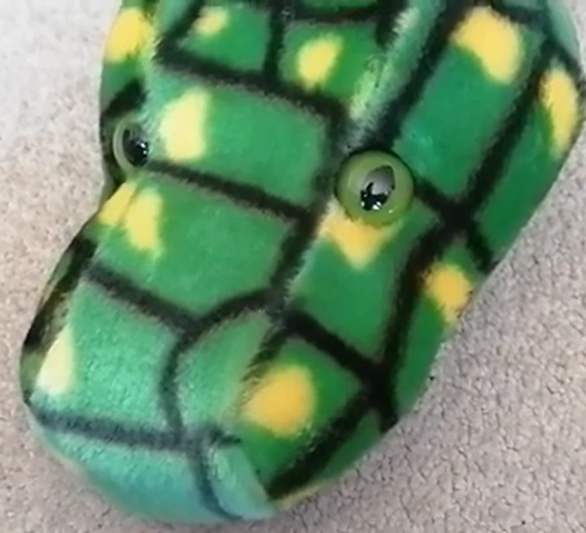 Sally Snake | Penguin and Beeky Show Wiki | Fandom