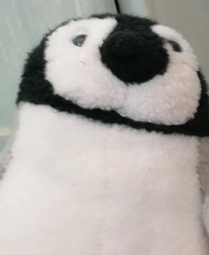 Bill Rocky | Penguin and Beeky Show Wiki | Fandom