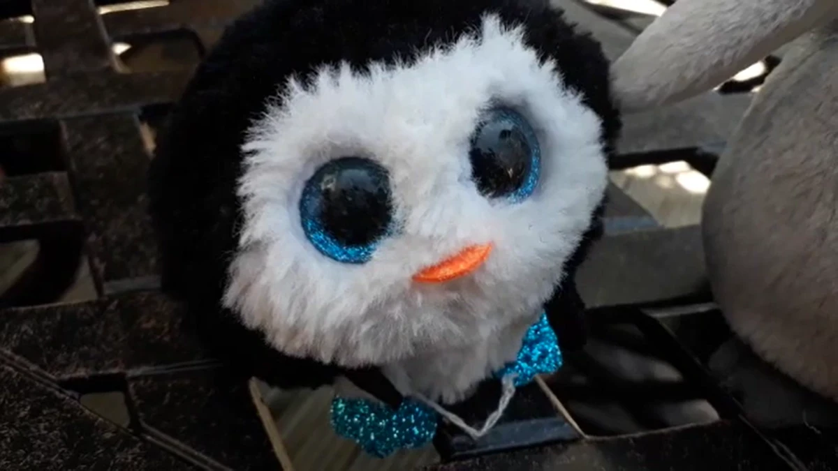 Bianca Trefes | Penguin and Beeky Show Wiki | Fandom